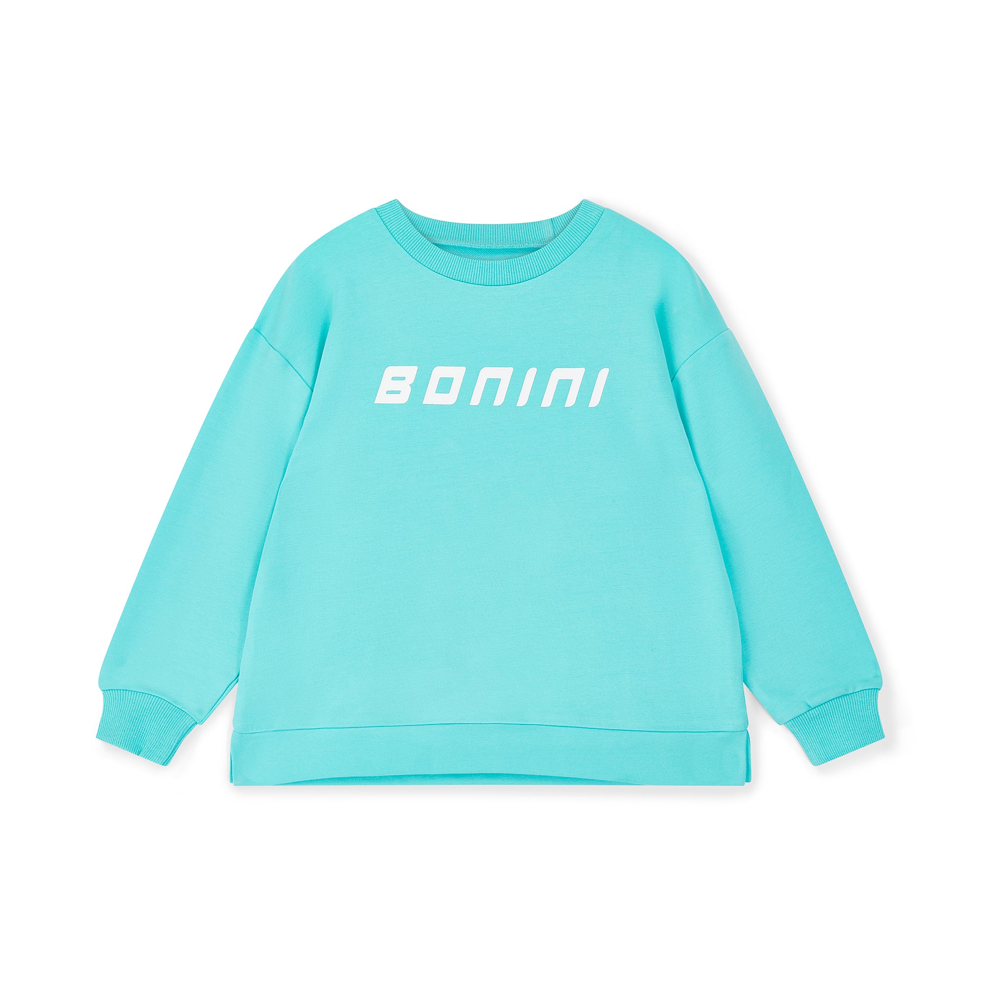 Mint Aspire Sweatshirt – Picture Book Fashion